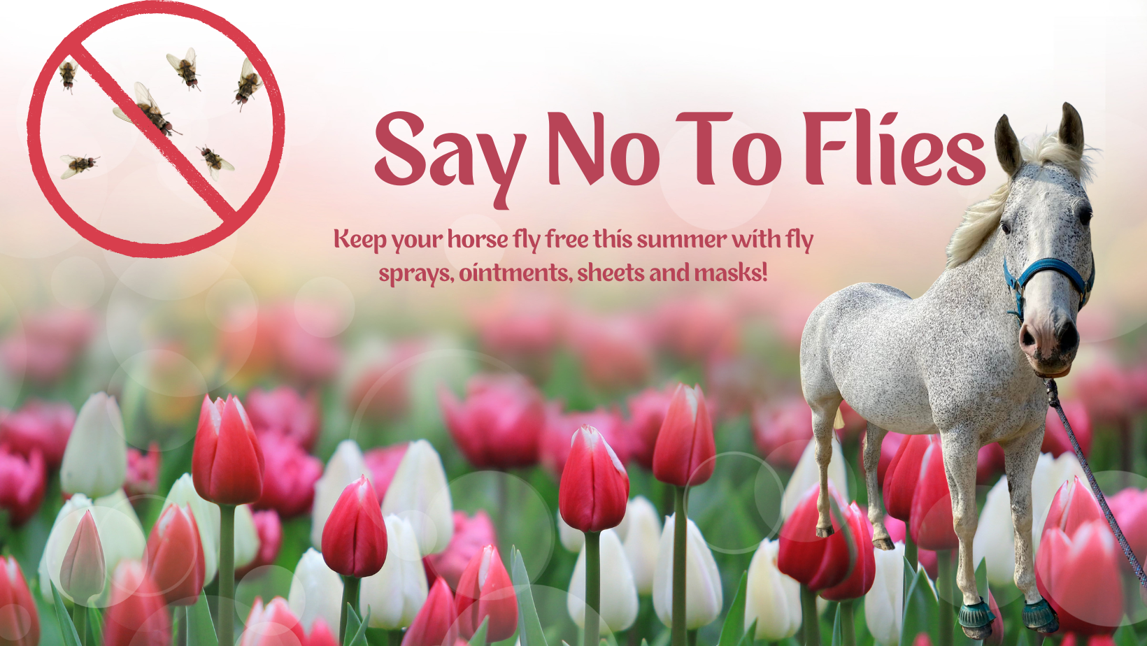 Fly Control | Equine Essentials